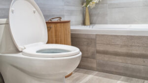 Why Flushable Wipes Will Clog Your Drains | Tureks Plumbing